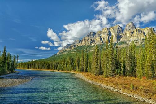 Cибирское Здоровье (Siberian Wellness)