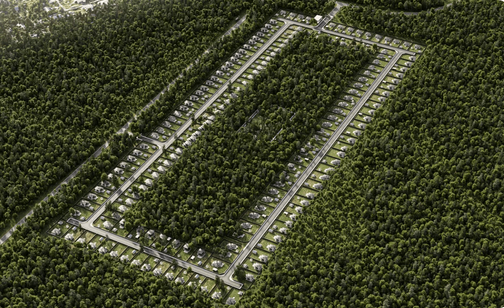 Поселок Forest