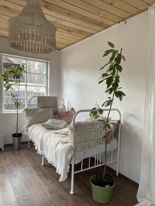 Локация сейчас Green Dacha