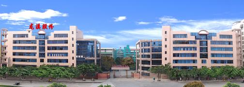 Fujian Longxi Bearing(Group) Corp., Ltd.