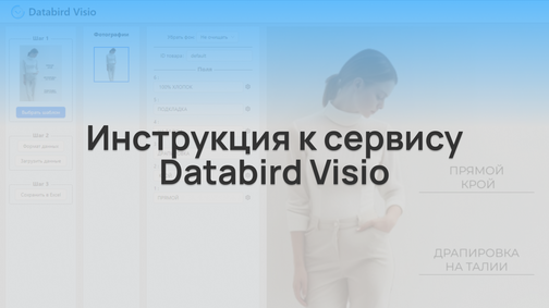 Инструкция к сервису Databird Visio