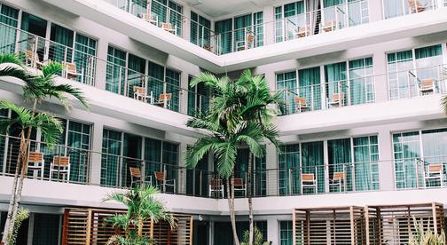 Уникальная экосистема и особенности развития отеля