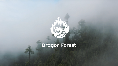 Главная страница | Dragon Forest