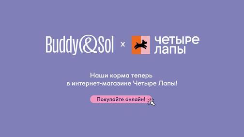 Buddy&Sol | Официальный сайт buddy-pets.ru