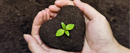 НАЧАЛЬНАЯ СТРАНИЦА МИКРОЭЛЕМЕНТОВ