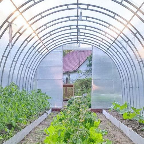 Усиленная теплица Купить усиленную теплицу из поликарбоната