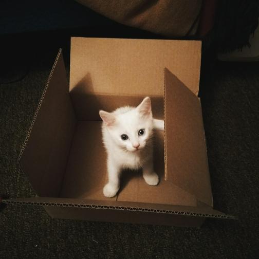 Картонные коробки Воронеж