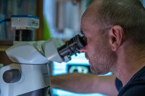 Кто: хранители в лицах