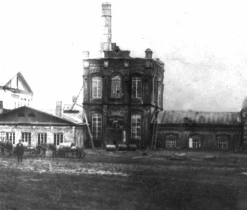 История MAMONT