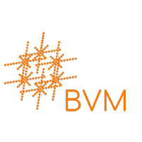 Юридическая информация BVM