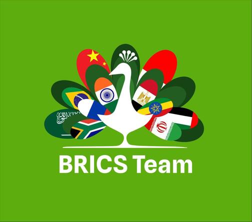 Команда BRICS TEAM